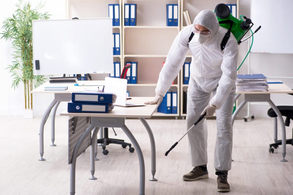 Get Rid Of Ants In The Office | PestForce